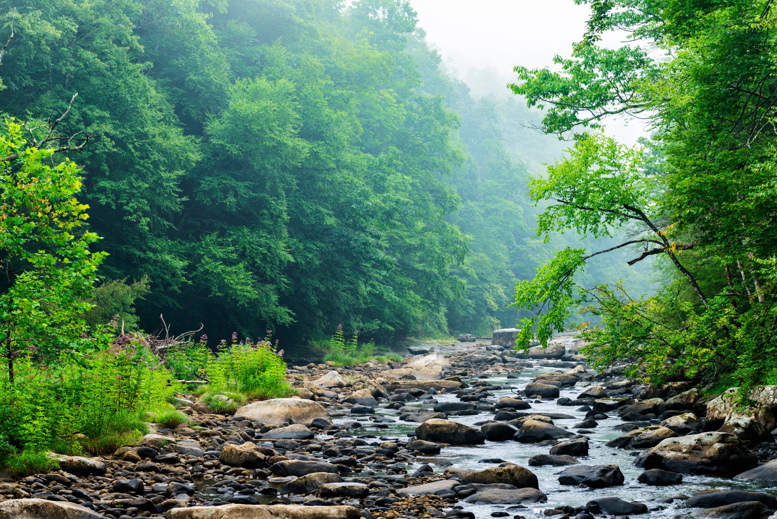 WOTUS: What to Watch For in 2022 | ACOEL